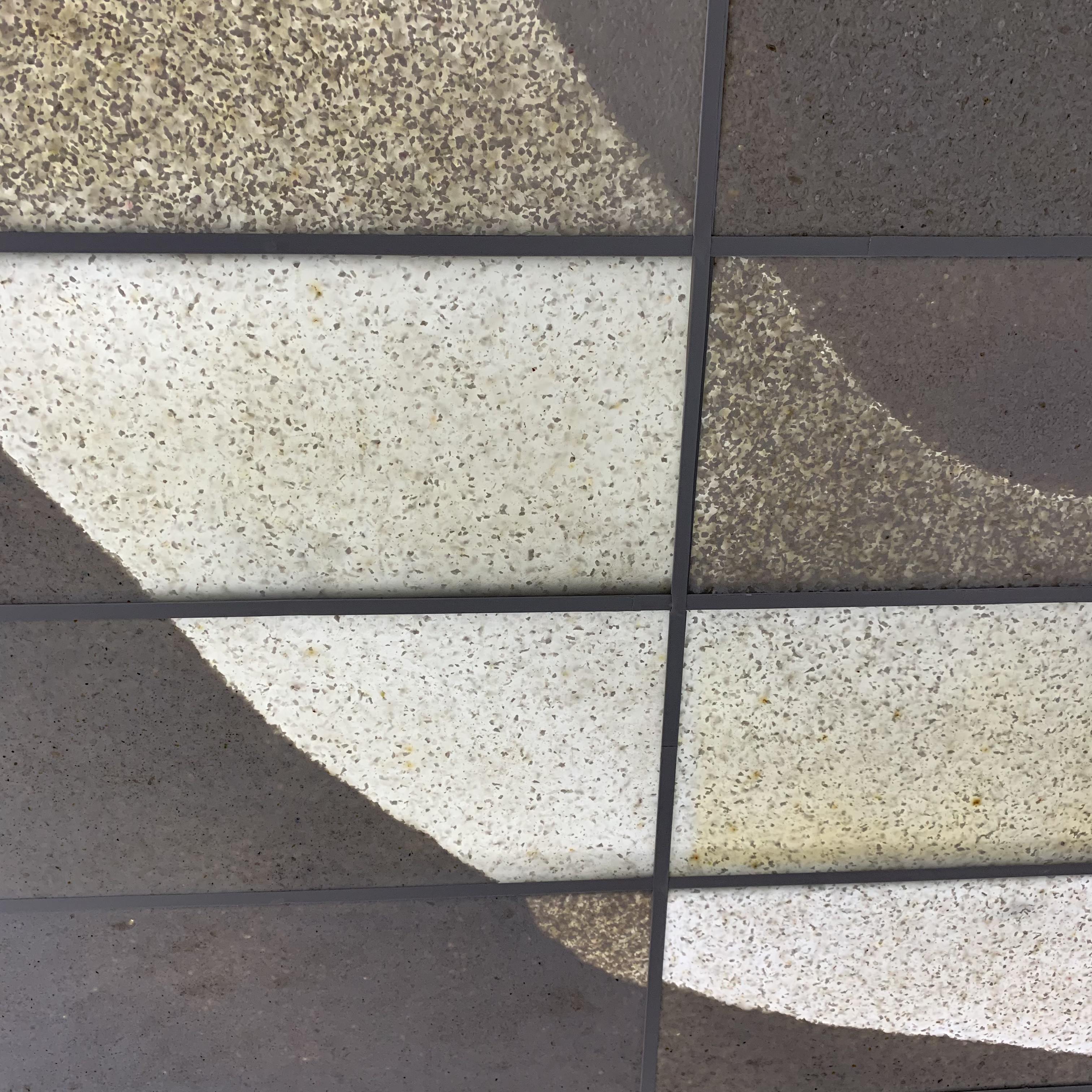 Virtual Tour to Japan with Studio Aliri Through “Texture Ceiling”